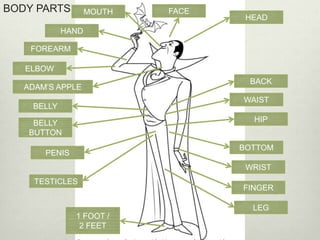 Body parts and joints | PPTX