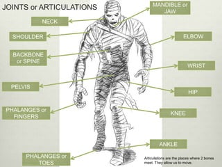 Body parts and joints | PPTX