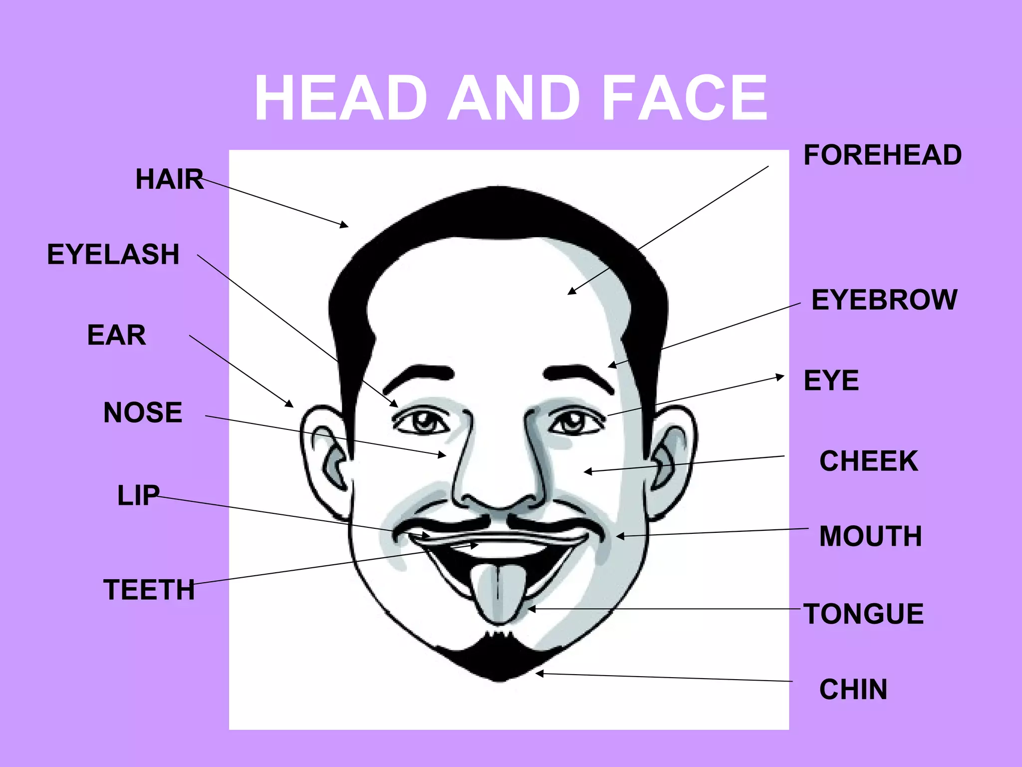 Body parts and physical appearance | PPT