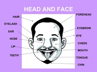 Body parts and physical appearance | PPT