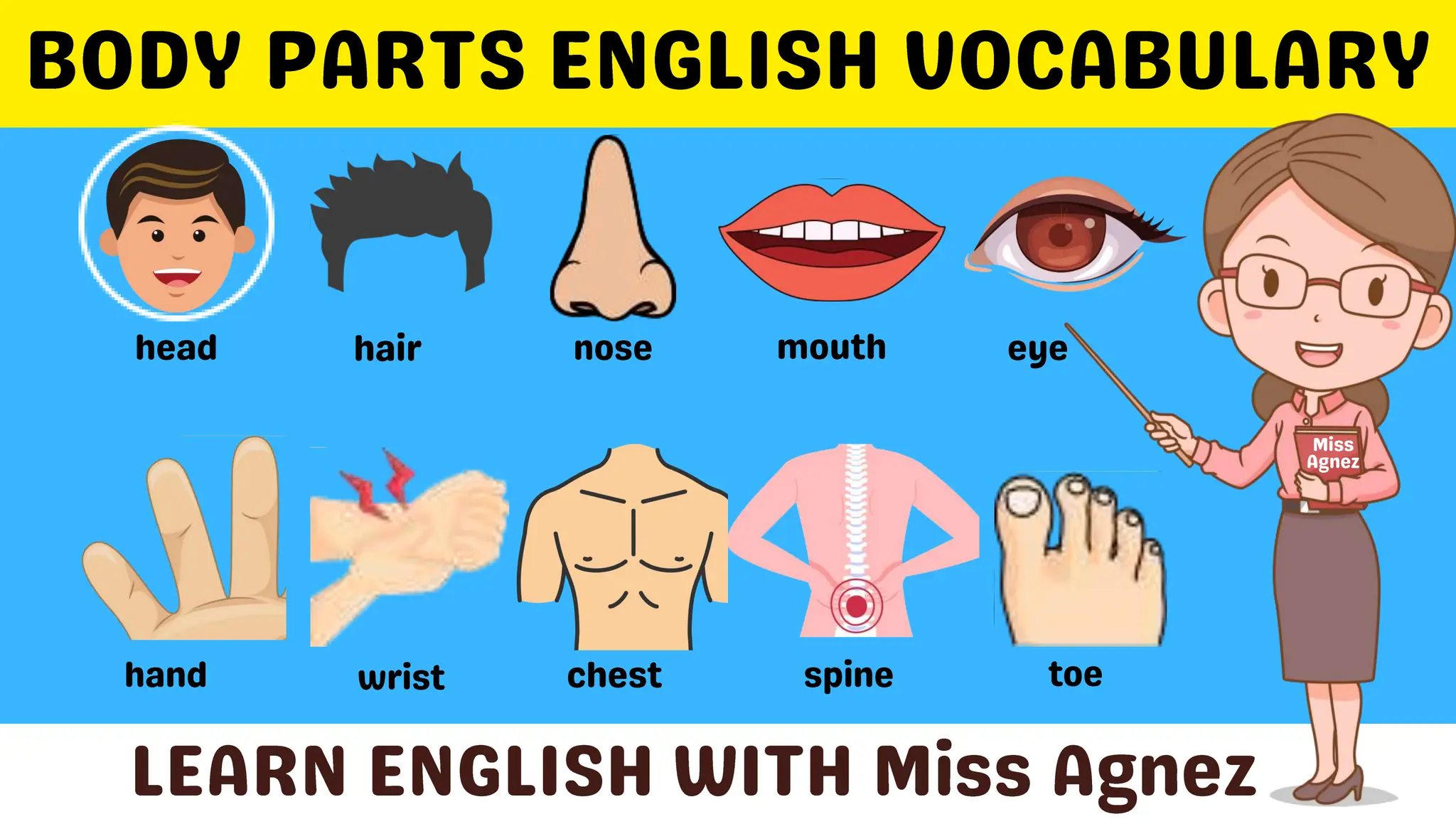 BODY PARTS ENGLISH VOCABULARY.pptx