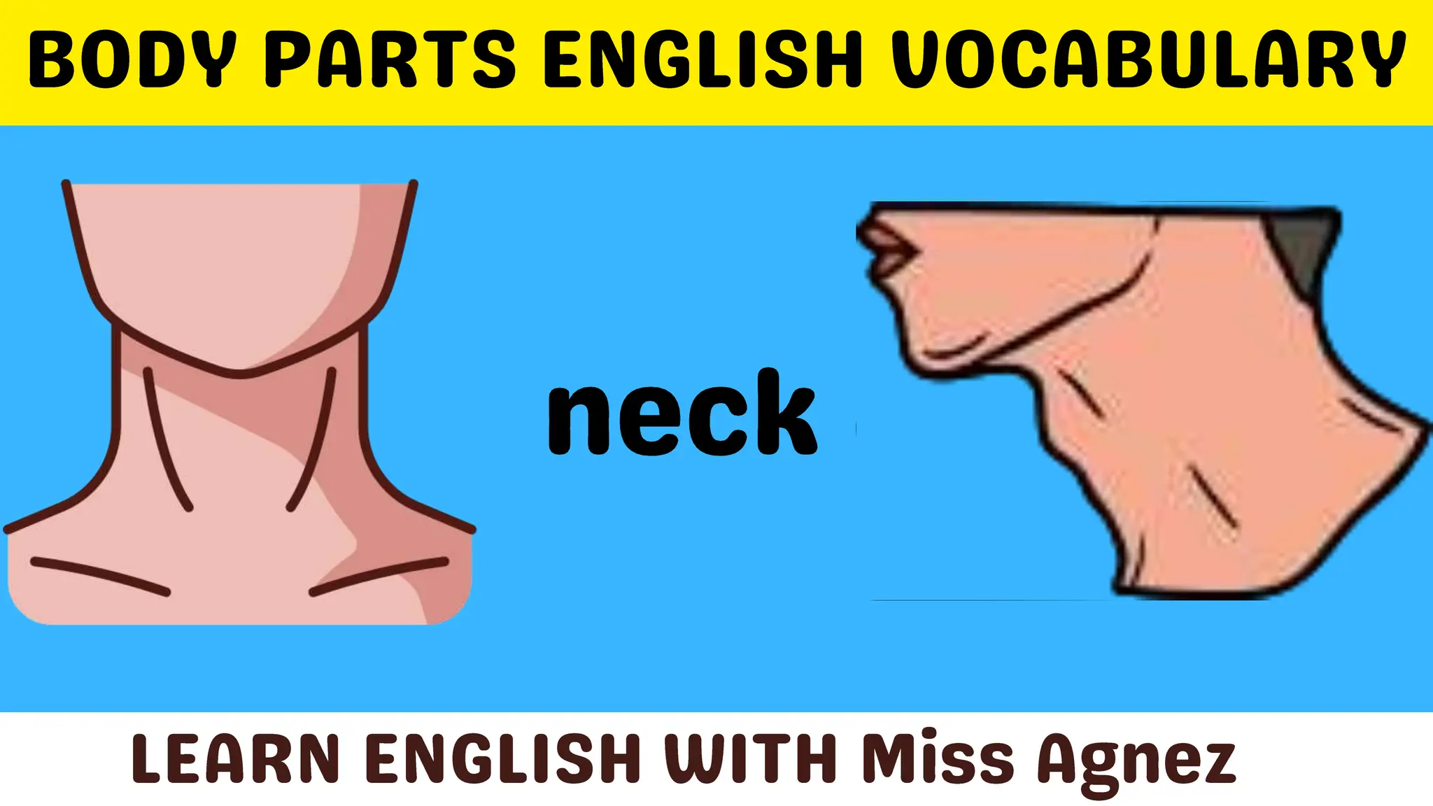 BODY PARTS ENGLISH VOCABULARY.pptx