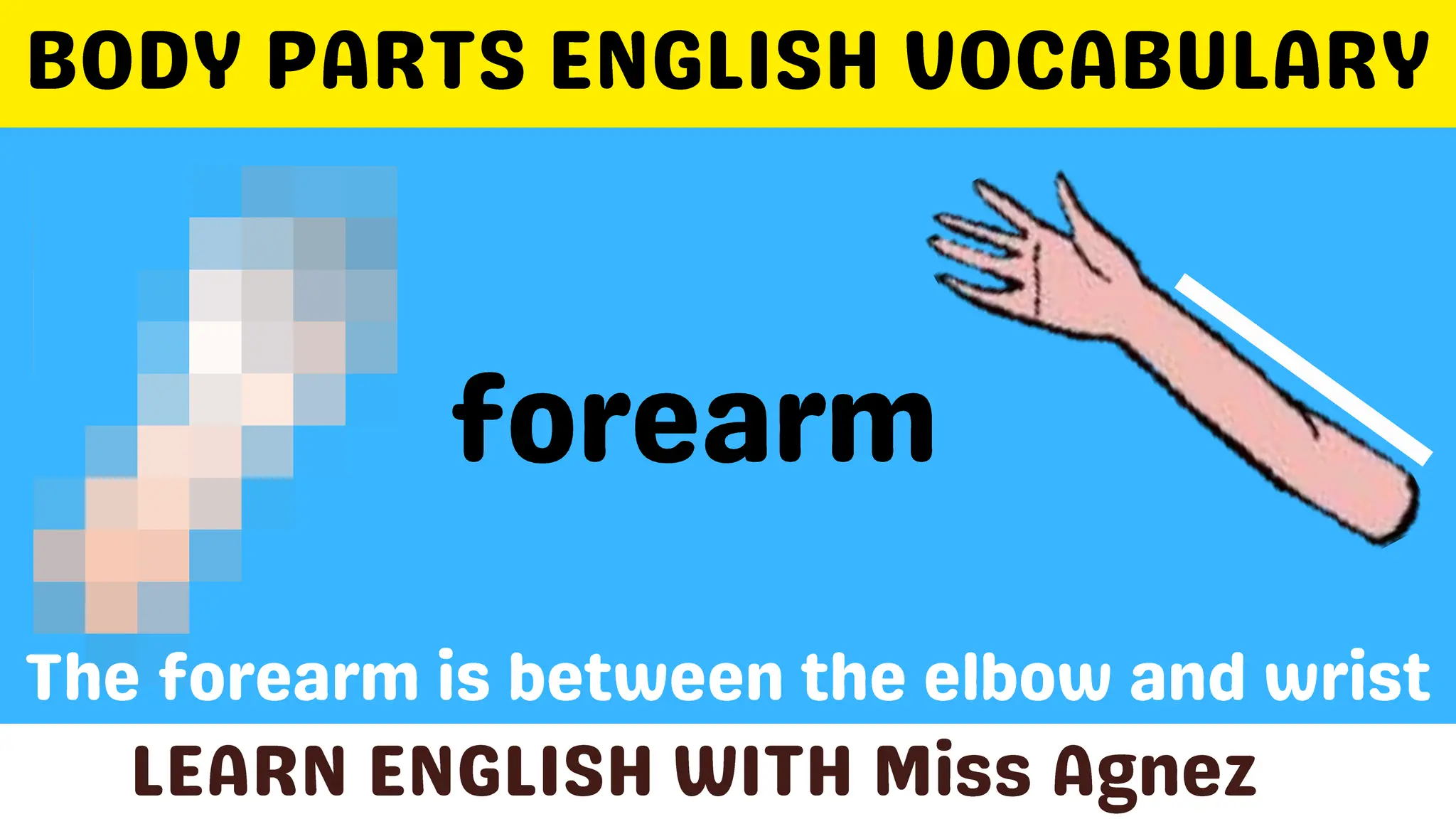 BODY PARTS ENGLISH VOCABULARY.pptx