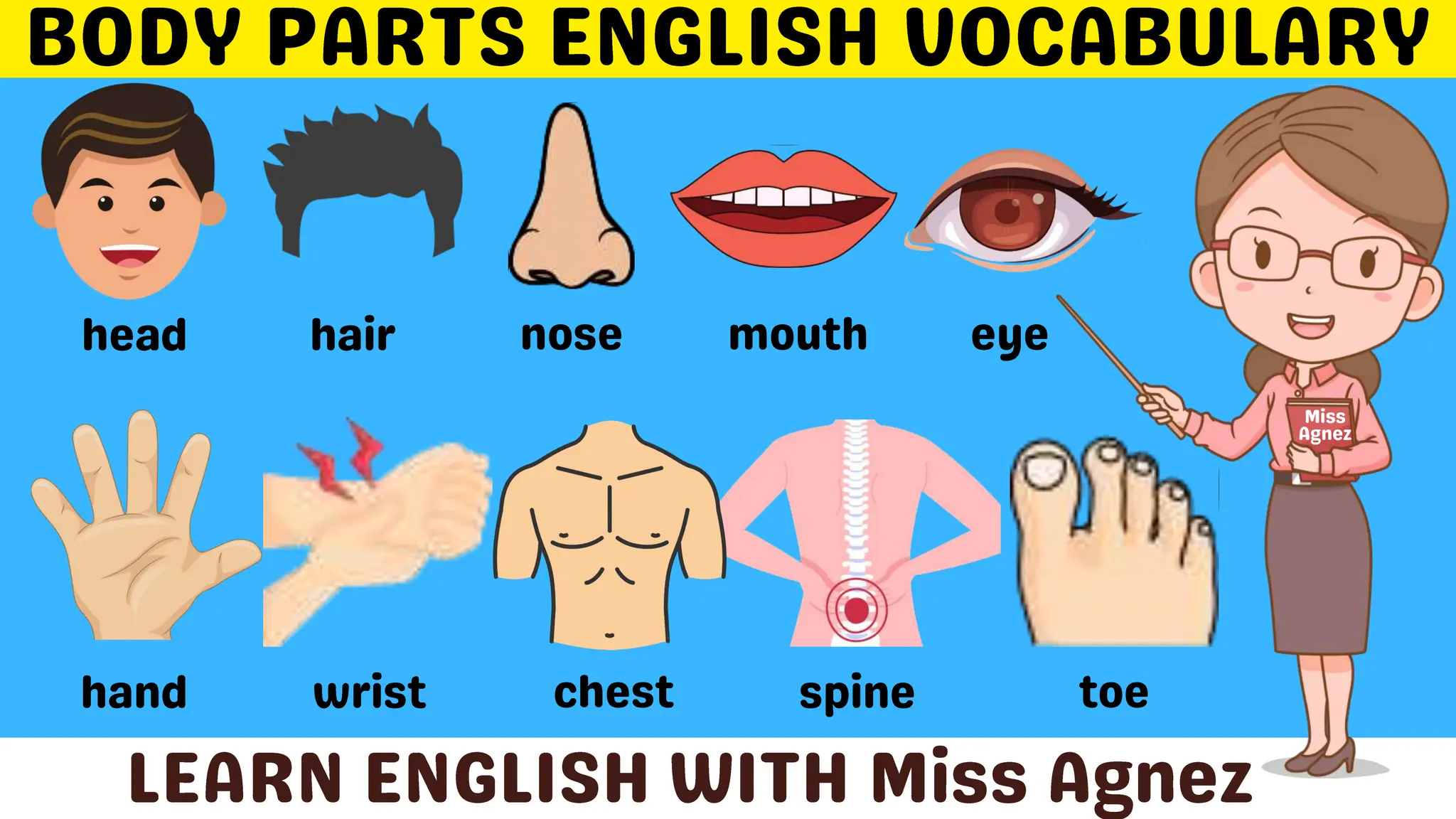 BODY PARTS ENGLISH VOCABULARY.pptx