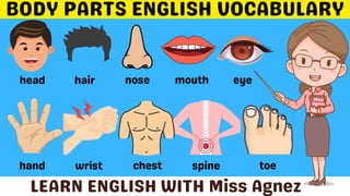 BODY PARTS ENGLISH VOCABULARY.pptx