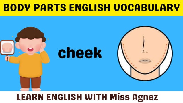 BODY PARTS ENGLISH VOCABULARY.pptx