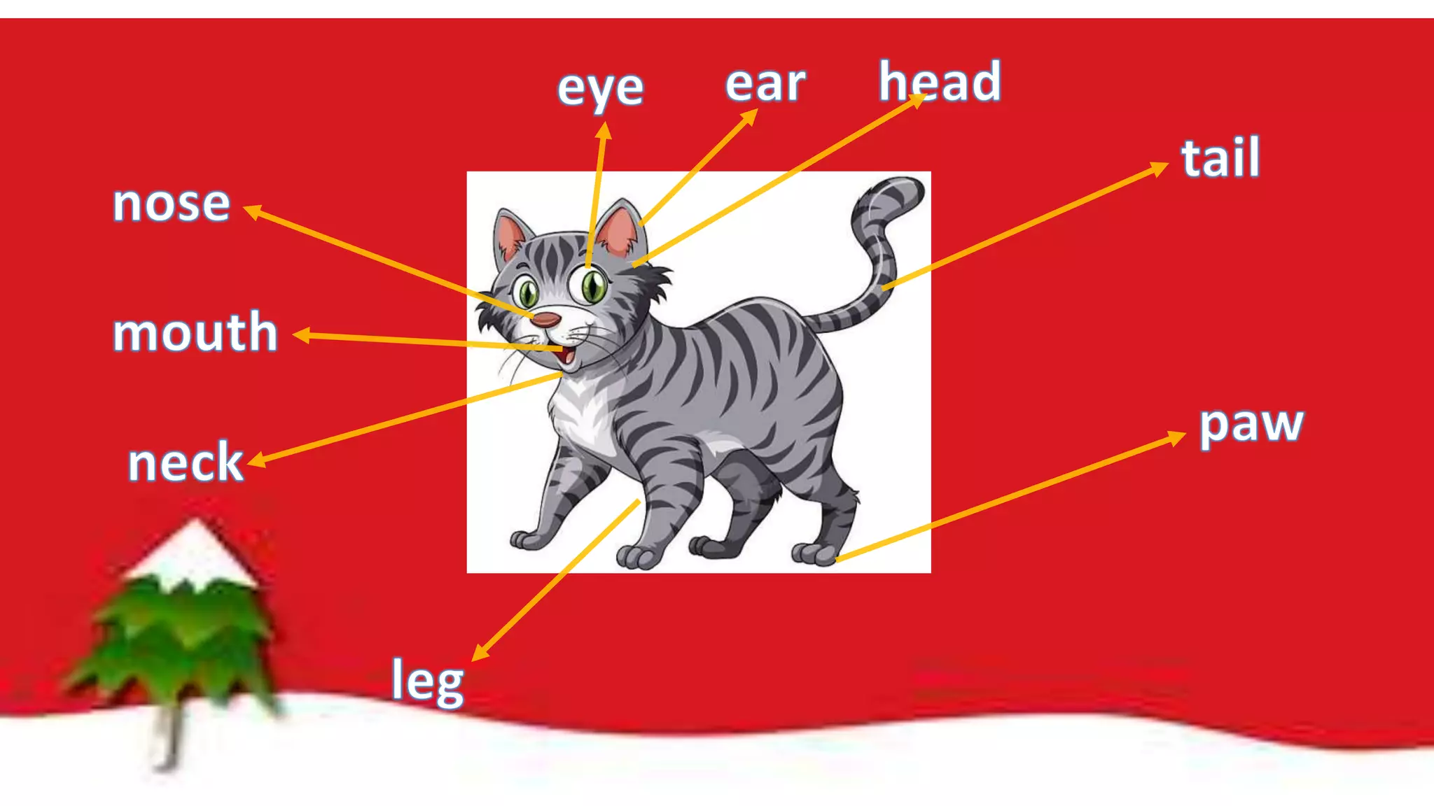 Body parts of animals | PPTX