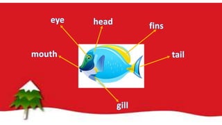 Body parts of animals | PPT