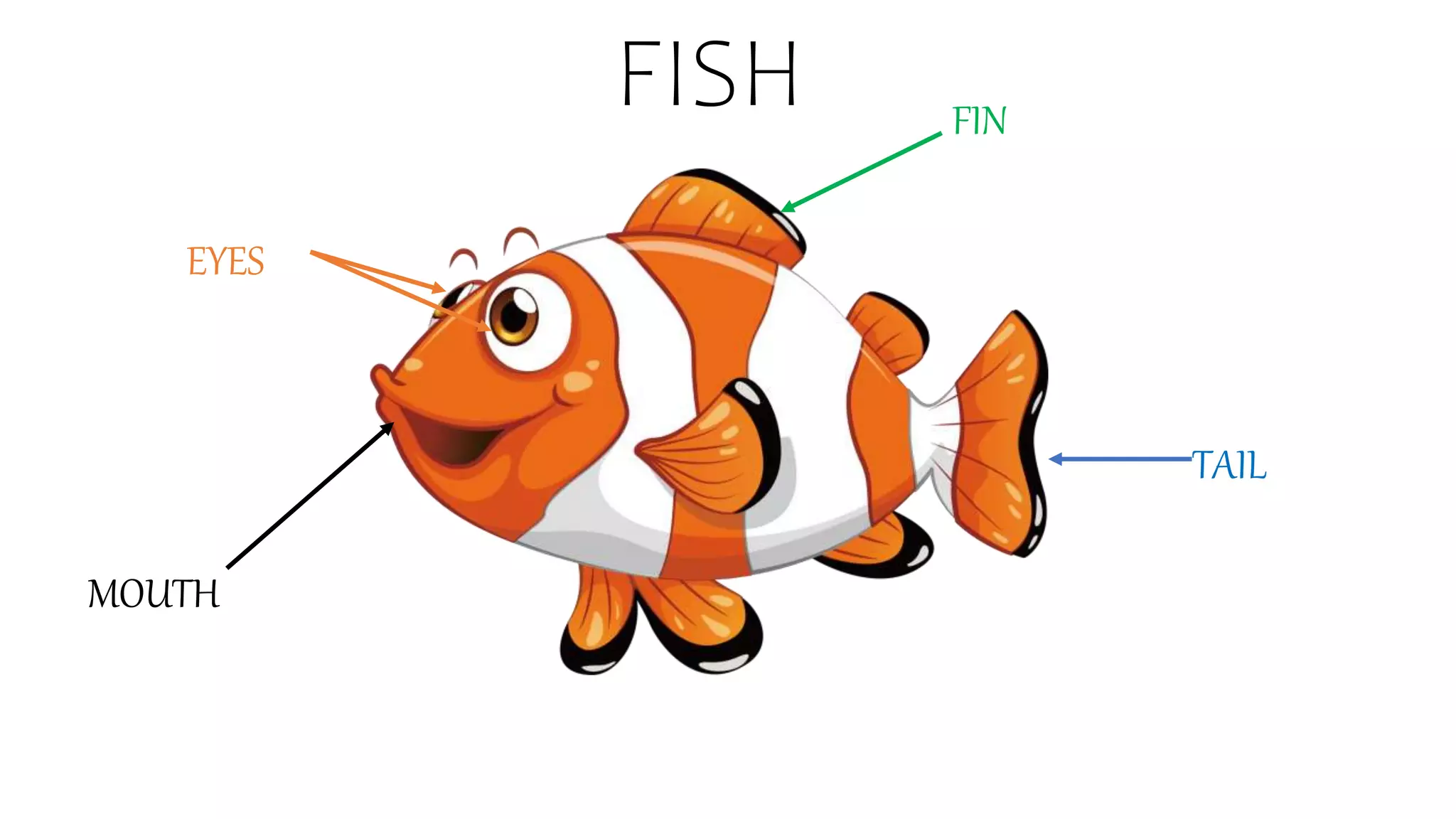 Body Parts of Animals.pptx