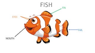 Body Parts of Animals.pptx