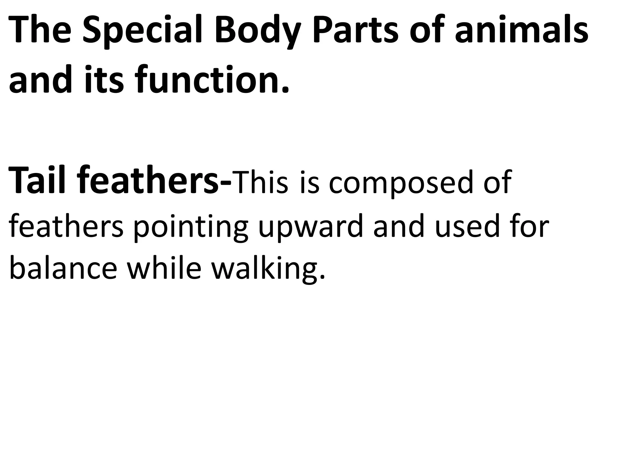 body parts of animals.pptx scielce lesson for grade 3 | PPTX