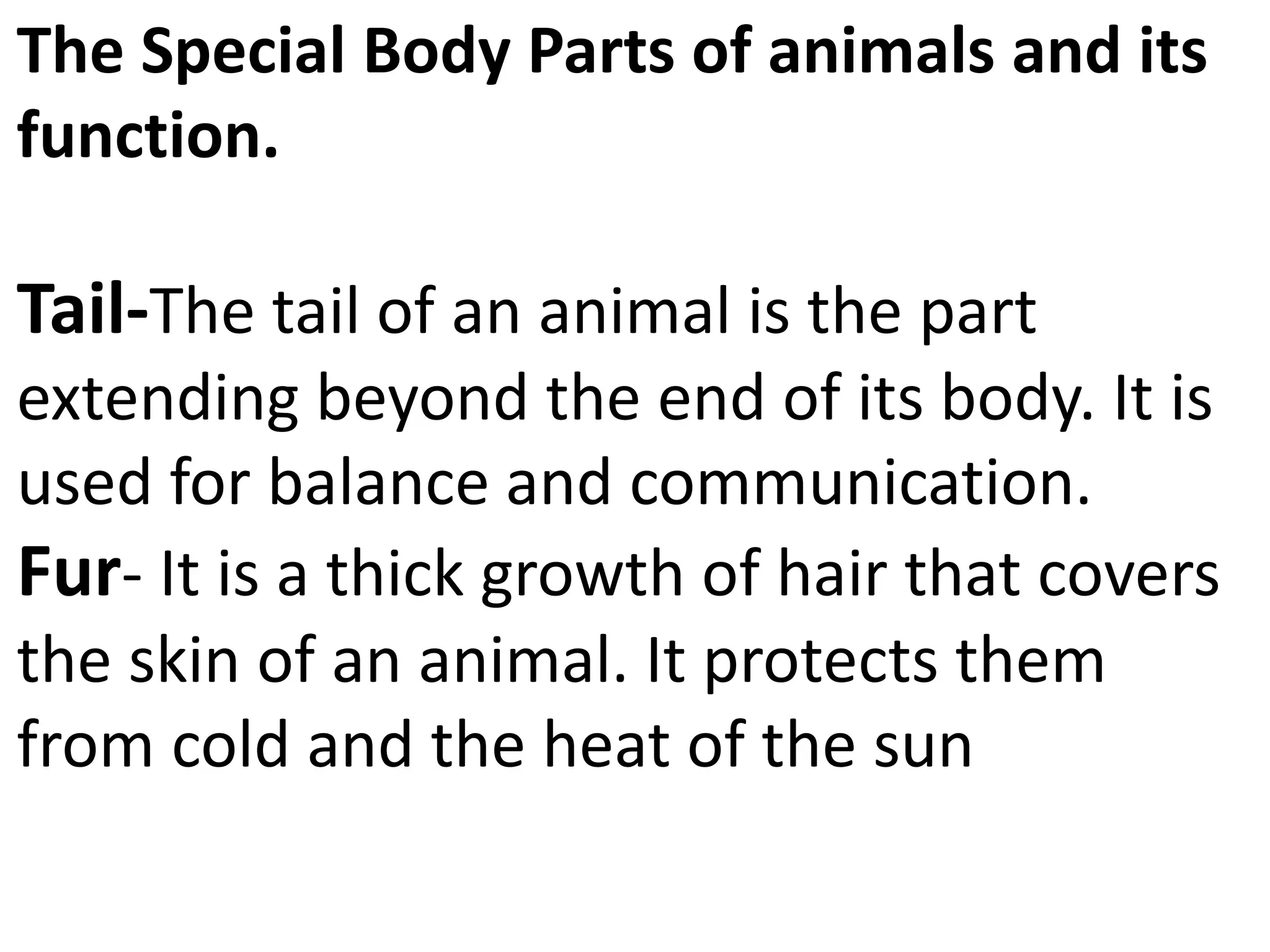 body parts of animals.pptx scielce lesson for grade 3 | PPTX