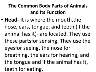 body parts of animals.pptx scielce lesson for grade 3 | PPTX