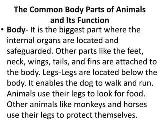 body parts of animals.pptx scielce lesson for grade 3 | PPTX