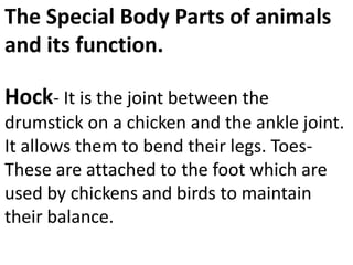 body parts of animals.pptx scielce lesson for grade 3 | PPTX