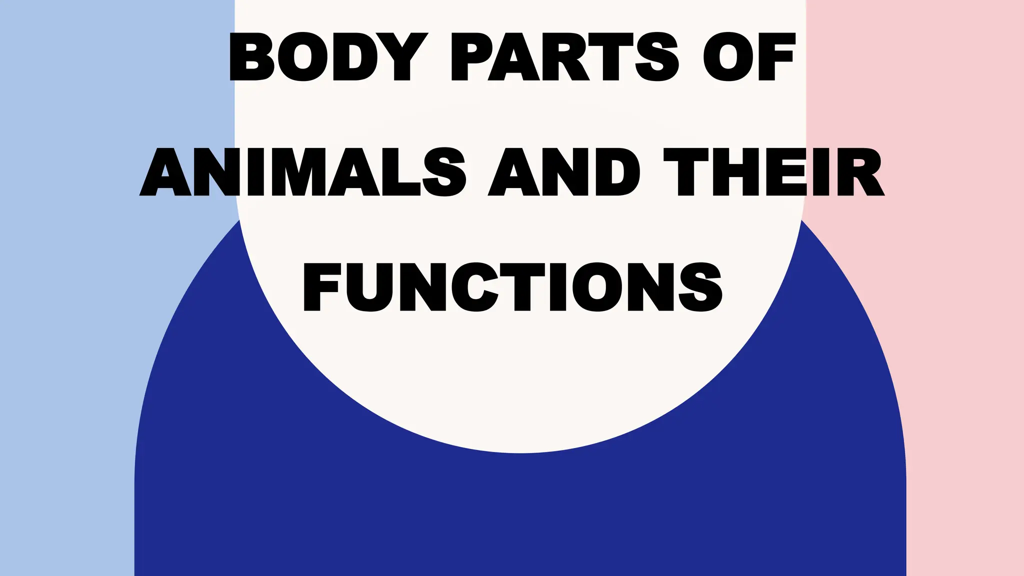 Body Parts of Animals and their Functions.pptx