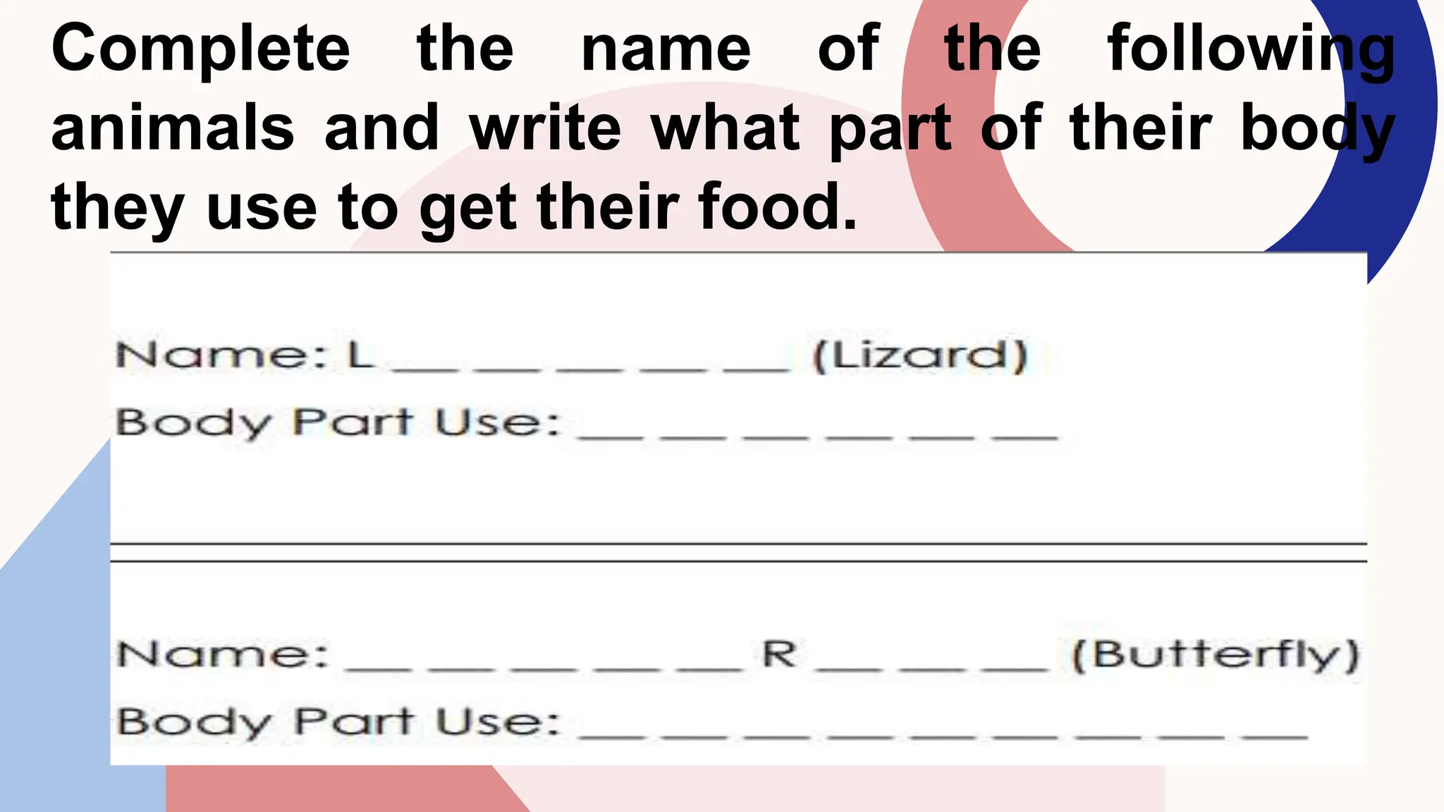 Body Parts of Animals and their Functions.pptx