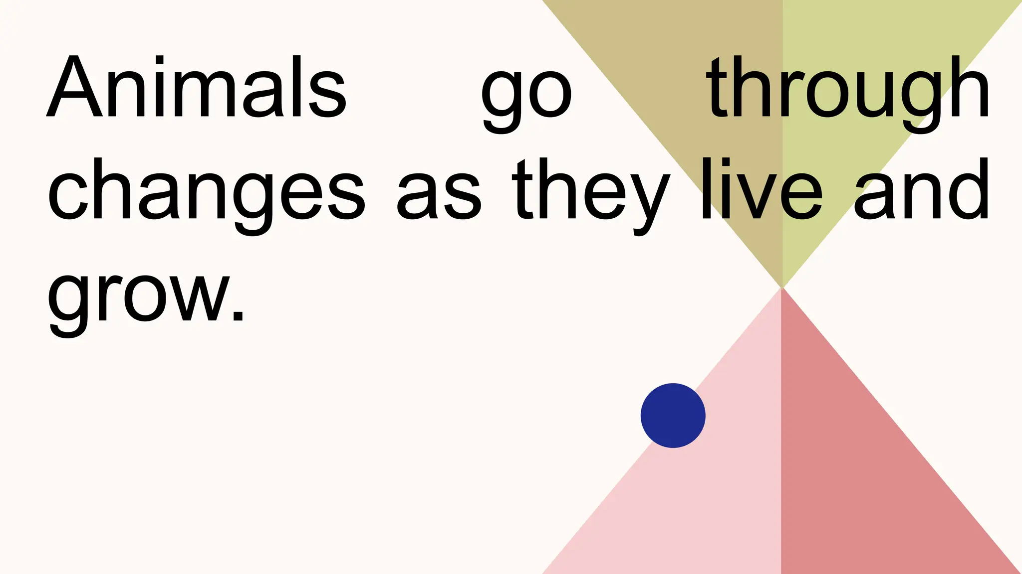 Body Parts of Animals and their Functions.pptx