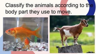 Body Parts of Animals and their Functions.pptx