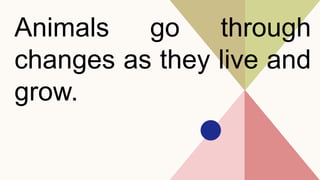 Body Parts of Animals and their Functions.pptx