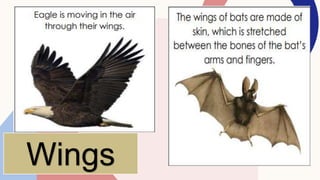 Body Parts of Animals and their Functions.pptx