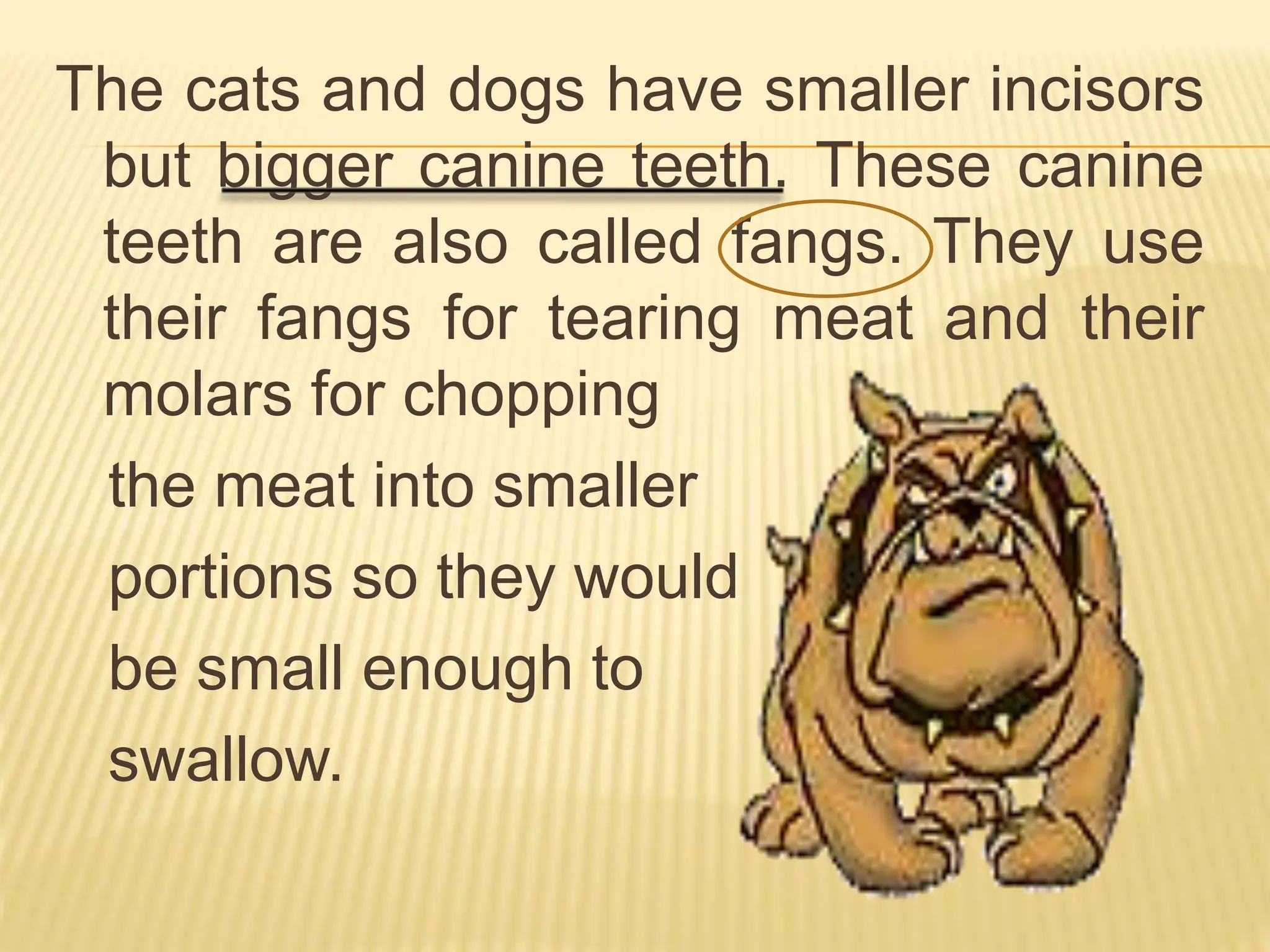 body parts of Animals for food getting.pptx