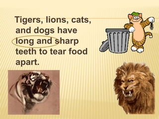 body parts of Animals for food getting.pptx
