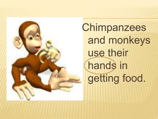 body parts of Animals for food getting.pptx