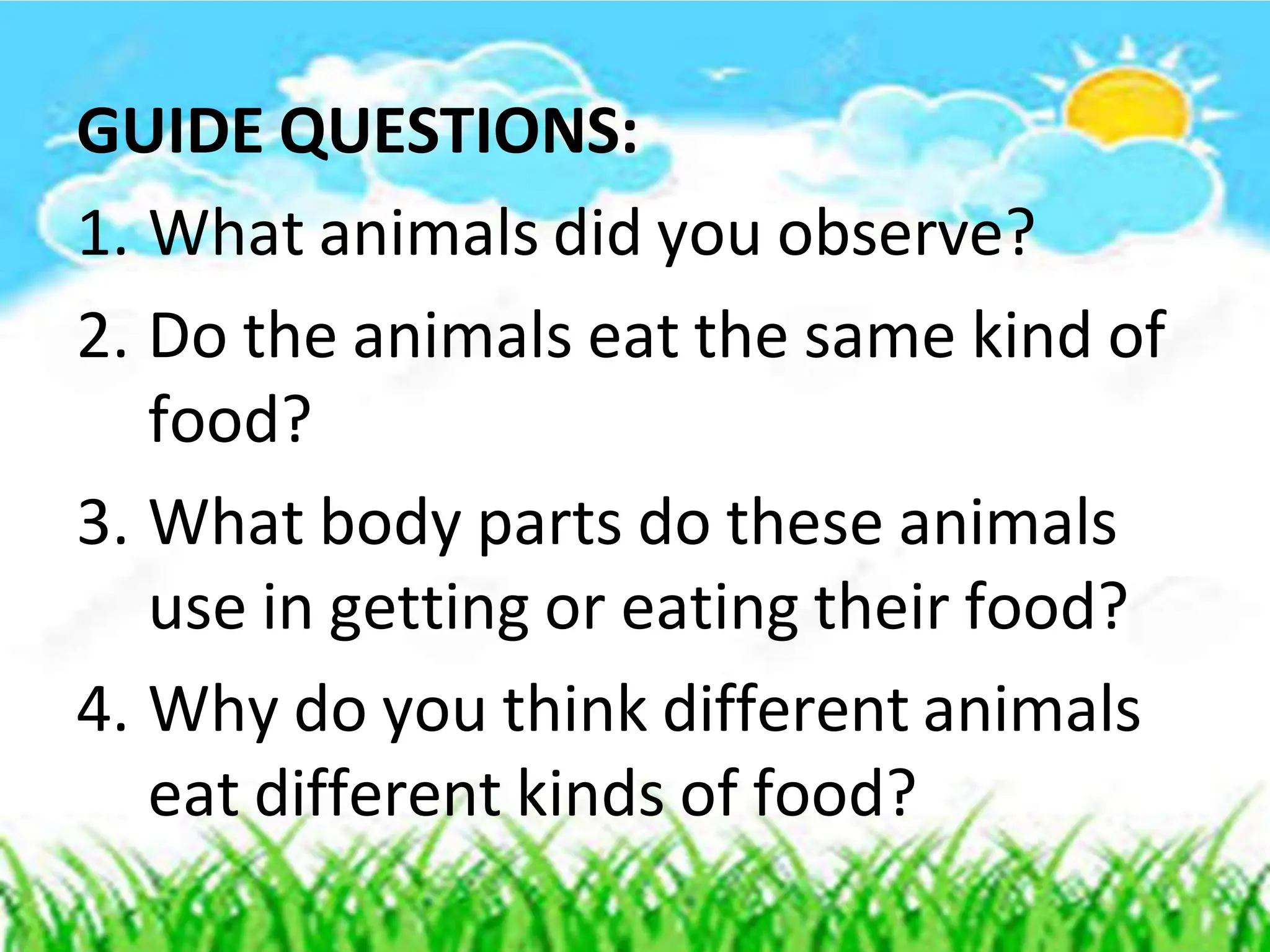 body parts of animals for getting food.pptx