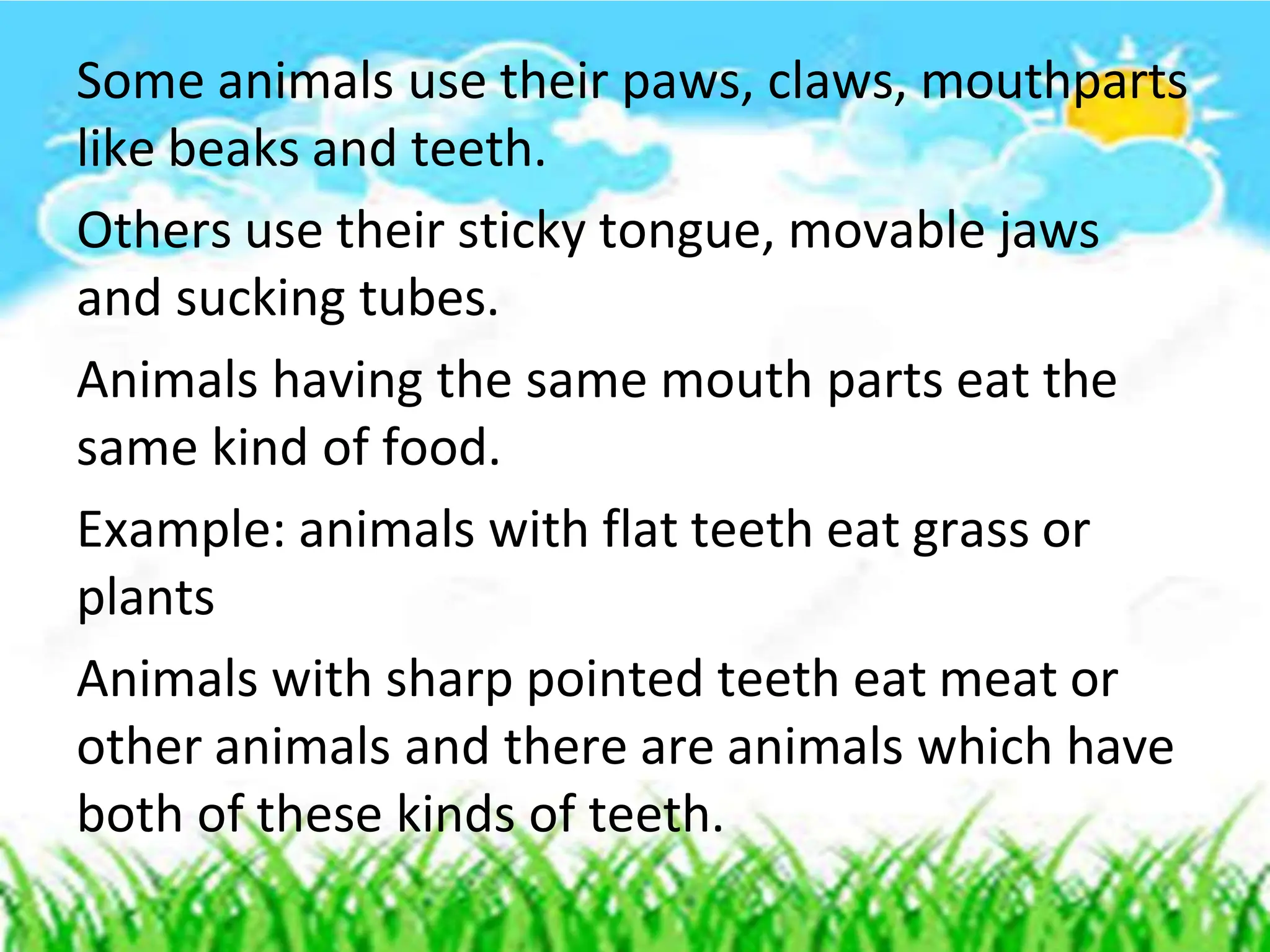 body parts of animals for getting food.pptx