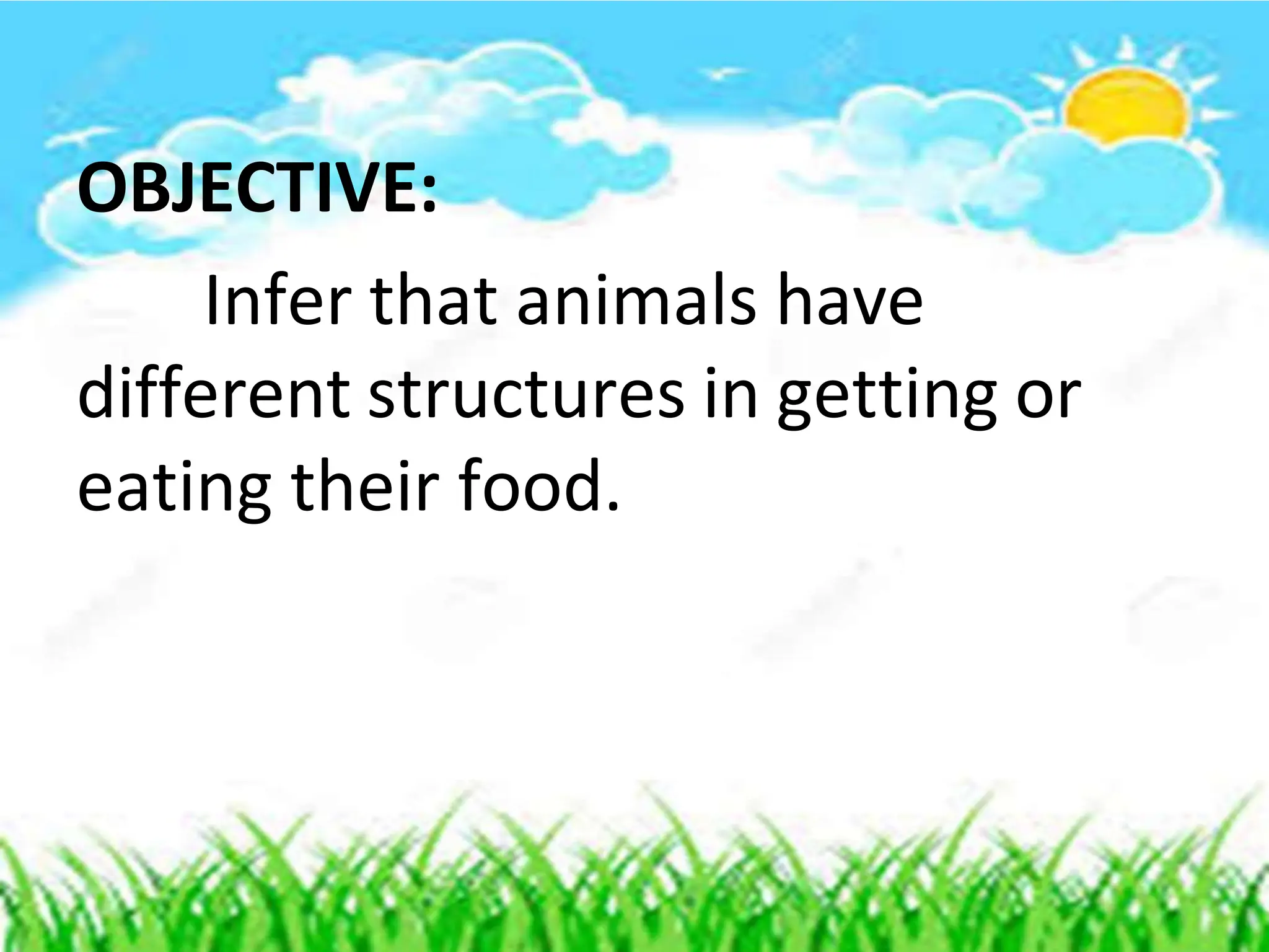 body parts of animals for getting food.pptx