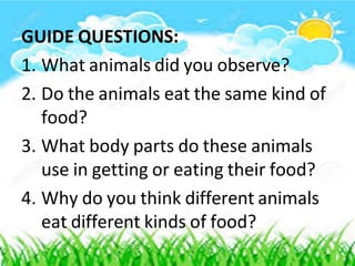 body parts of animals for getting food.pptx