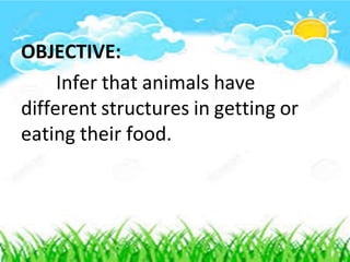 body parts of animals for getting food.pptx