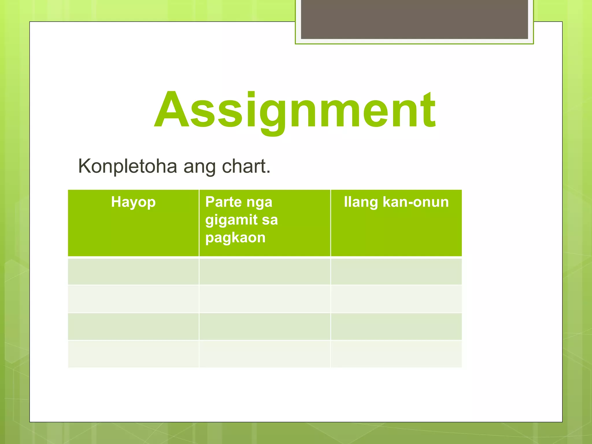 Body Parts of Animals used in Eating.pptx