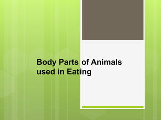 Body Parts of Animals used in Eating.pptx