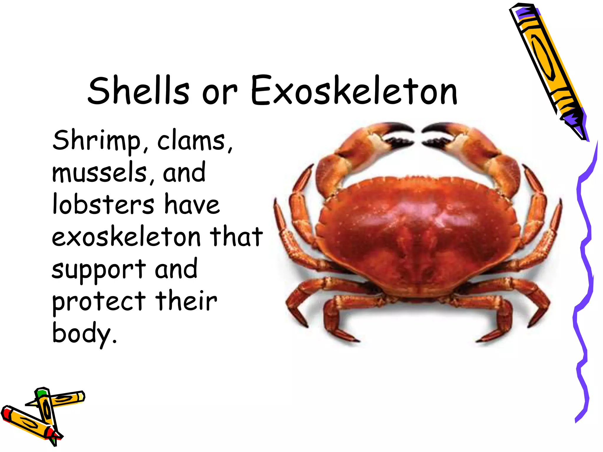 BODY PARTS OF AQUATIC ANIMALS.pptx