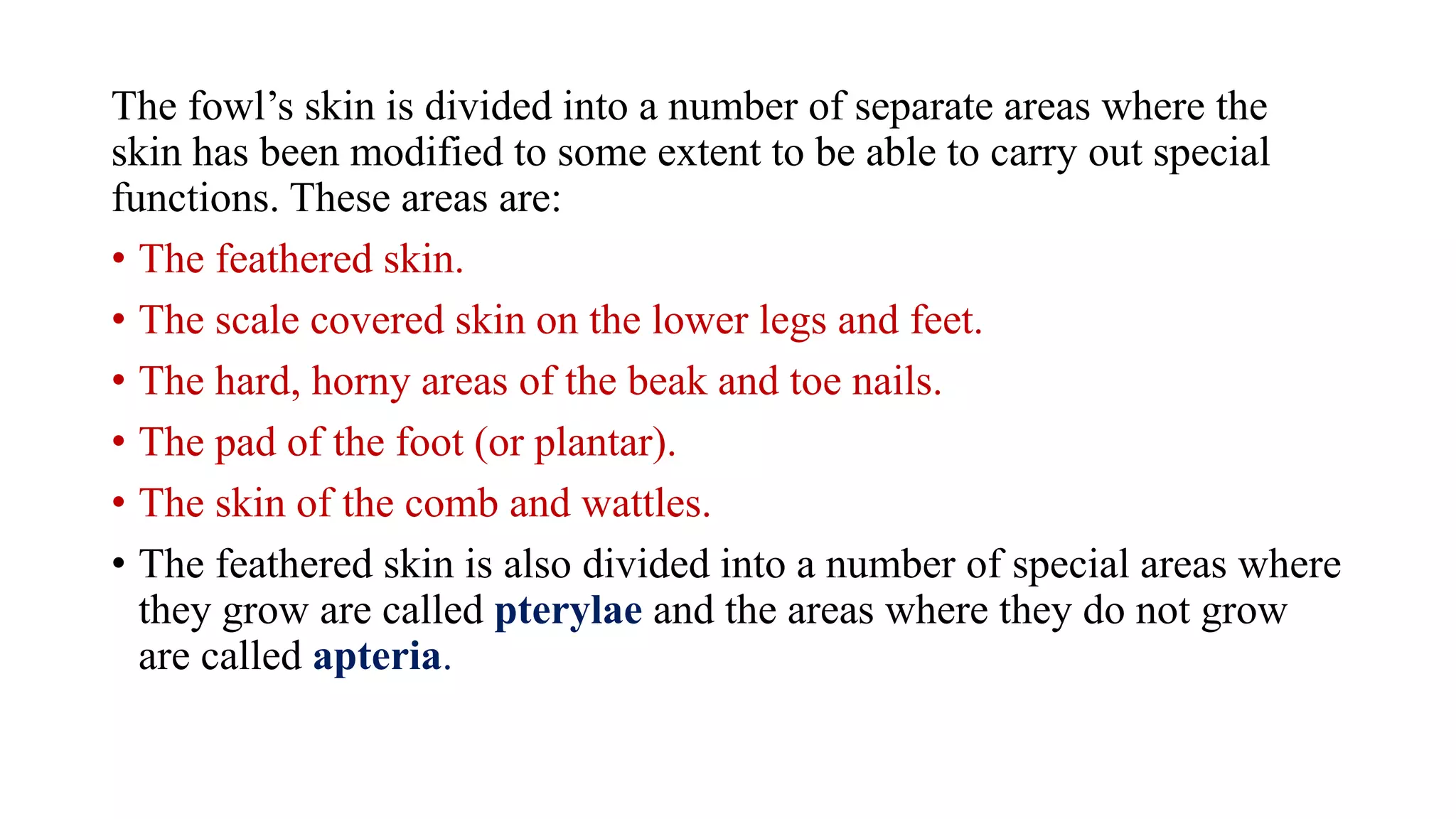 Body parts of chicken.pptx