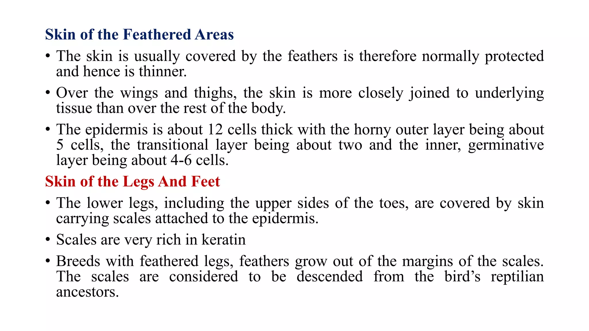 Body parts of chicken.pptx