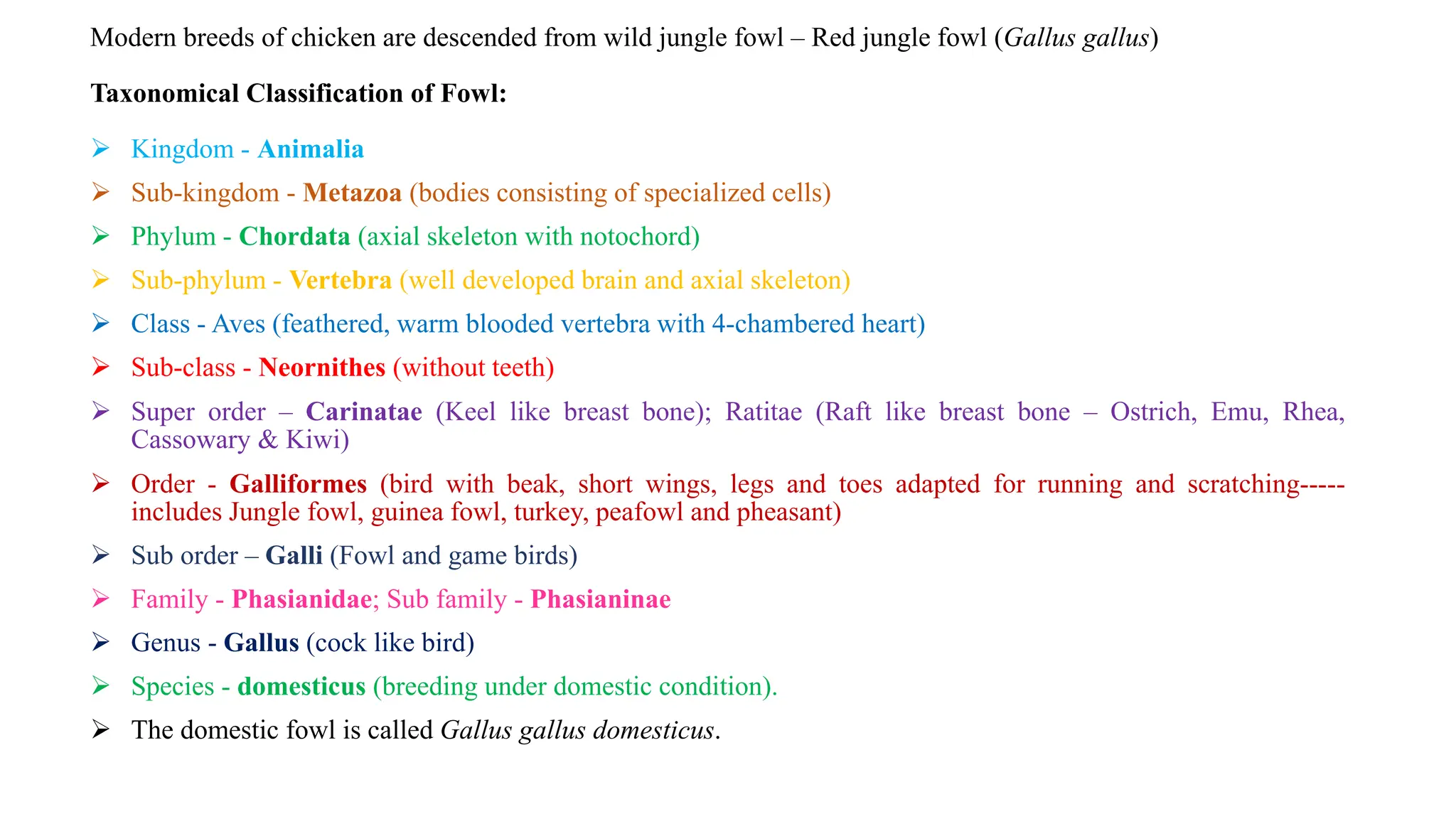 External Body conformation parts of chicken.pptx