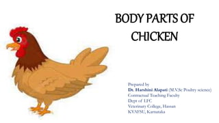 External Body conformation parts of chicken.pptx