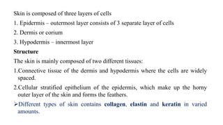 External Body conformation parts of chicken.pptx