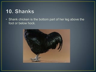 Body parts of fowl | PPTX
