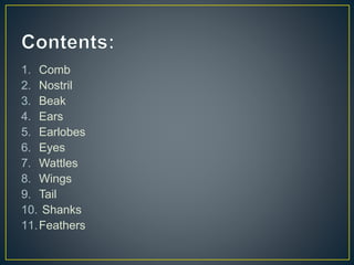 Body parts of fowl | PPTX