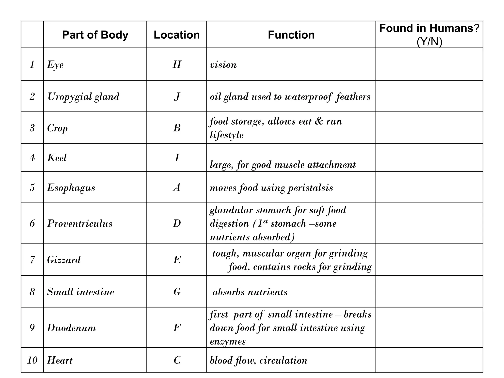 Body parts of quail | PPTX