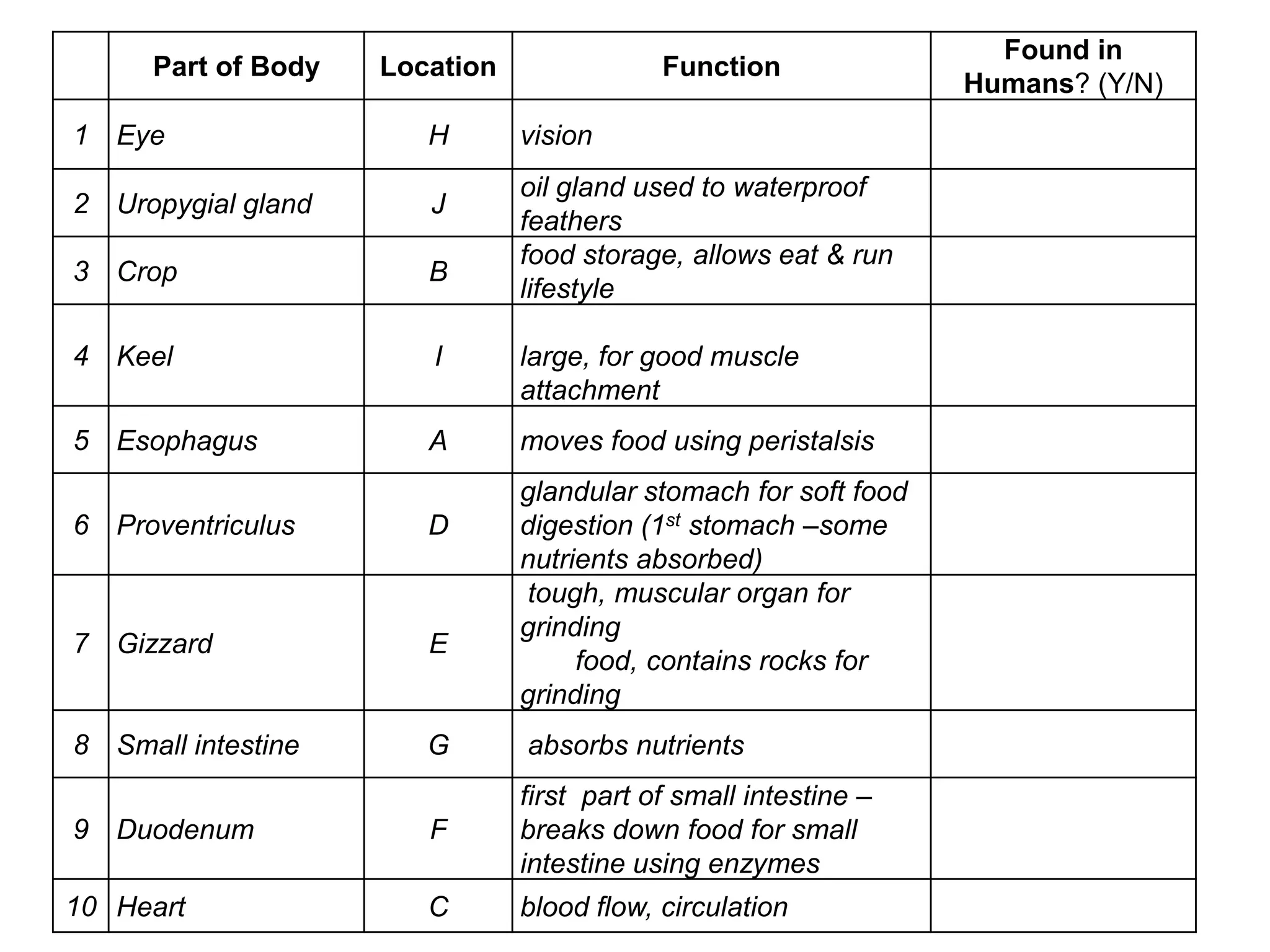 Body parts of quail | PPTX