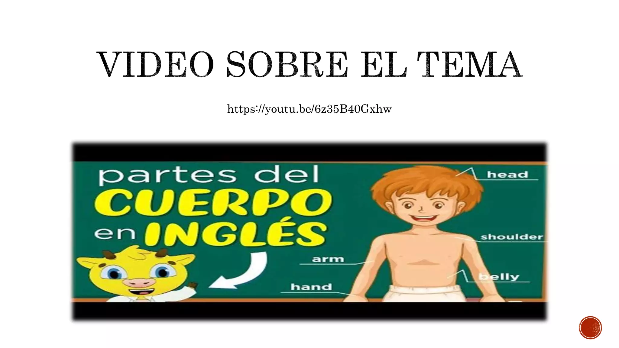 Body parts(partes del cuerpo).pptx