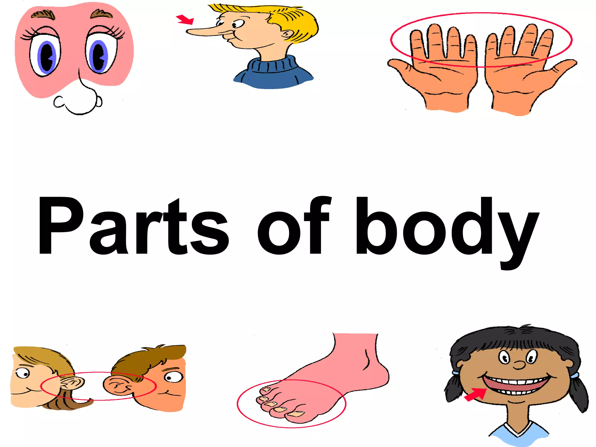 Body parts vocabulary | PPT