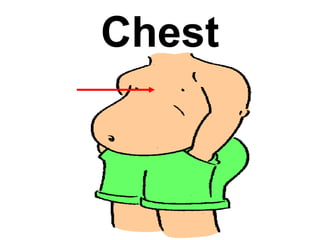 Body parts vocabulary | PPT