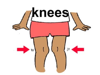 Body parts vocabulary | PPT