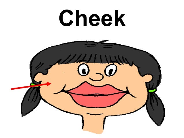 Body parts vocabulary